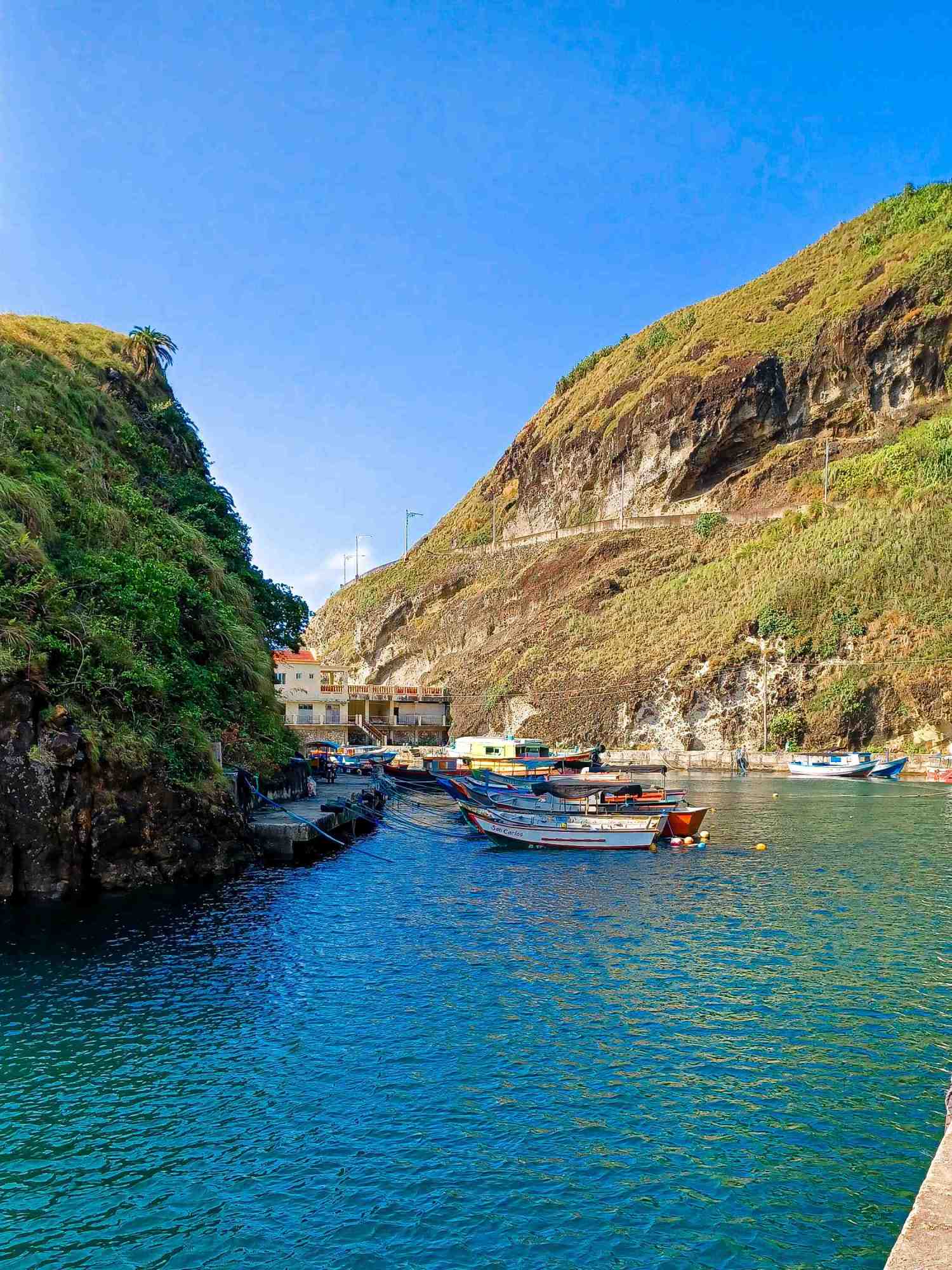 Resilient Beauty – Renegade Junctures